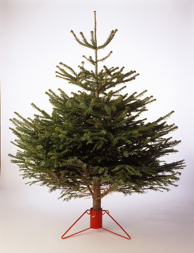 Festive items, reuse or recycle? | Less Waste